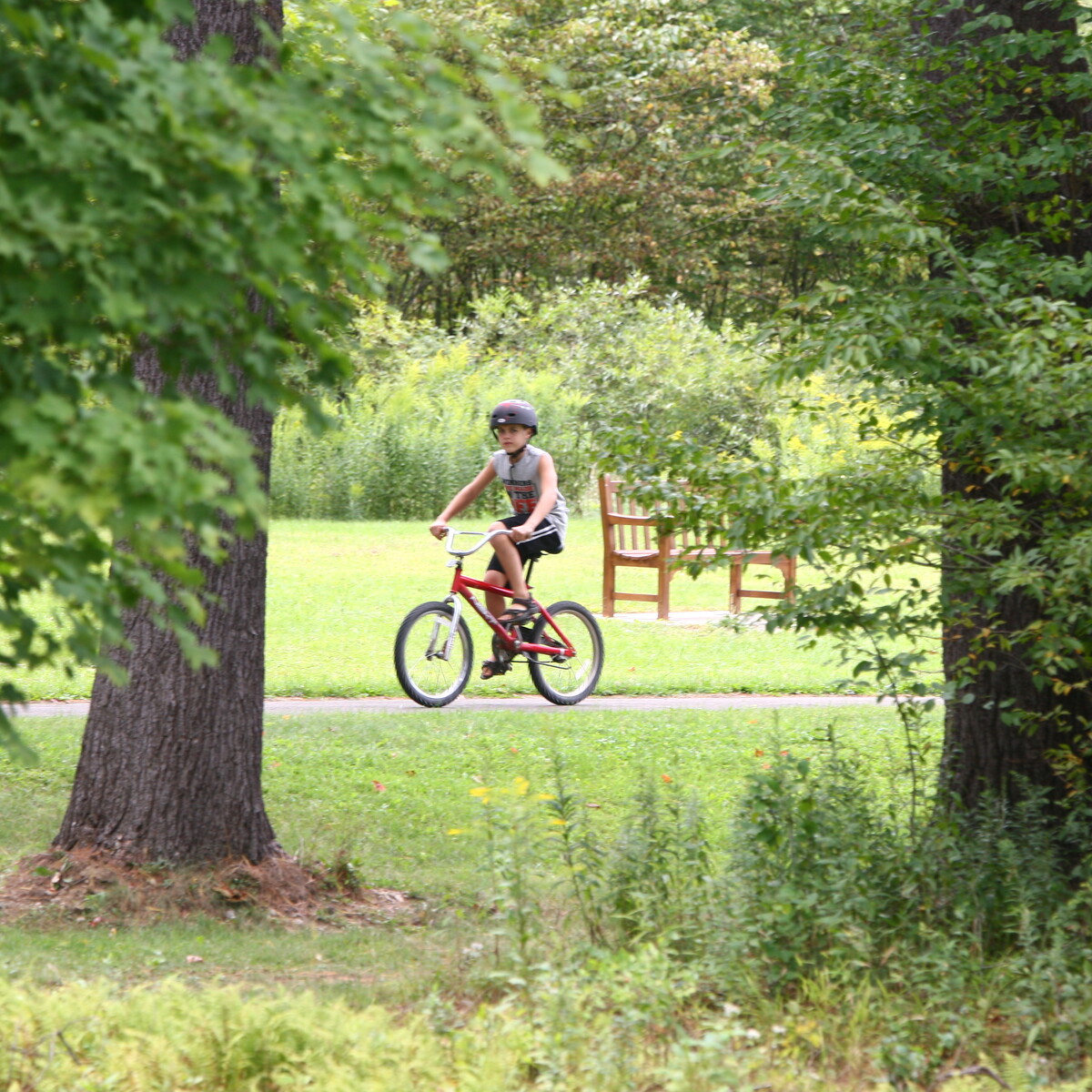 ASP Bike Rodeo | Enchanted Mountains of Western New York State
